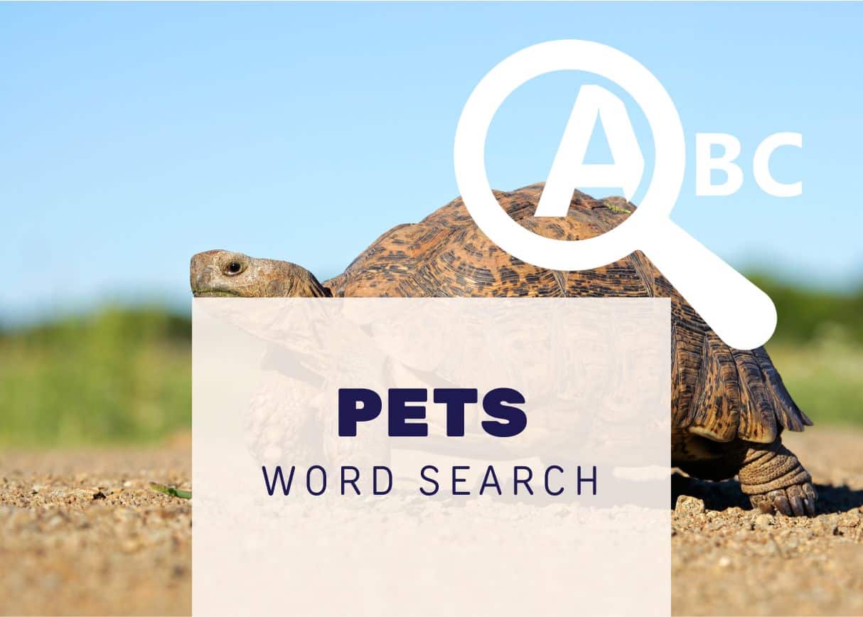 Word Search: Pets – Oldyssey Life